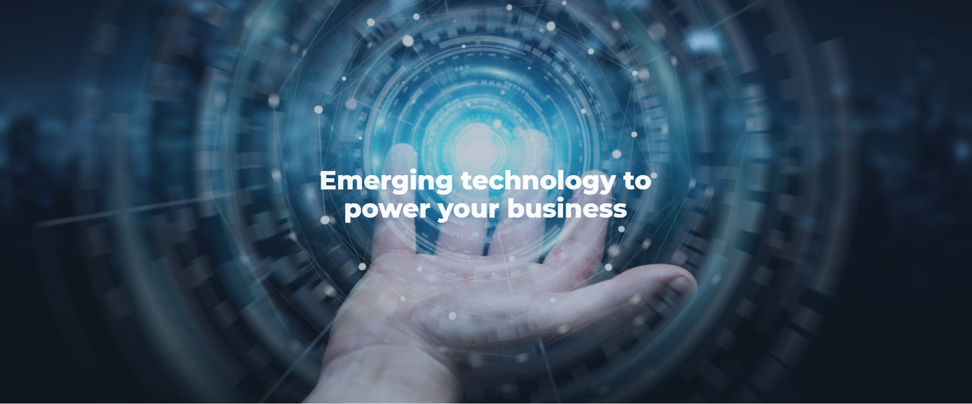 Software Development Company | IT Services | Quantilus