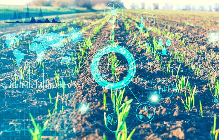 Software Development Company | IT Services | Quantilus